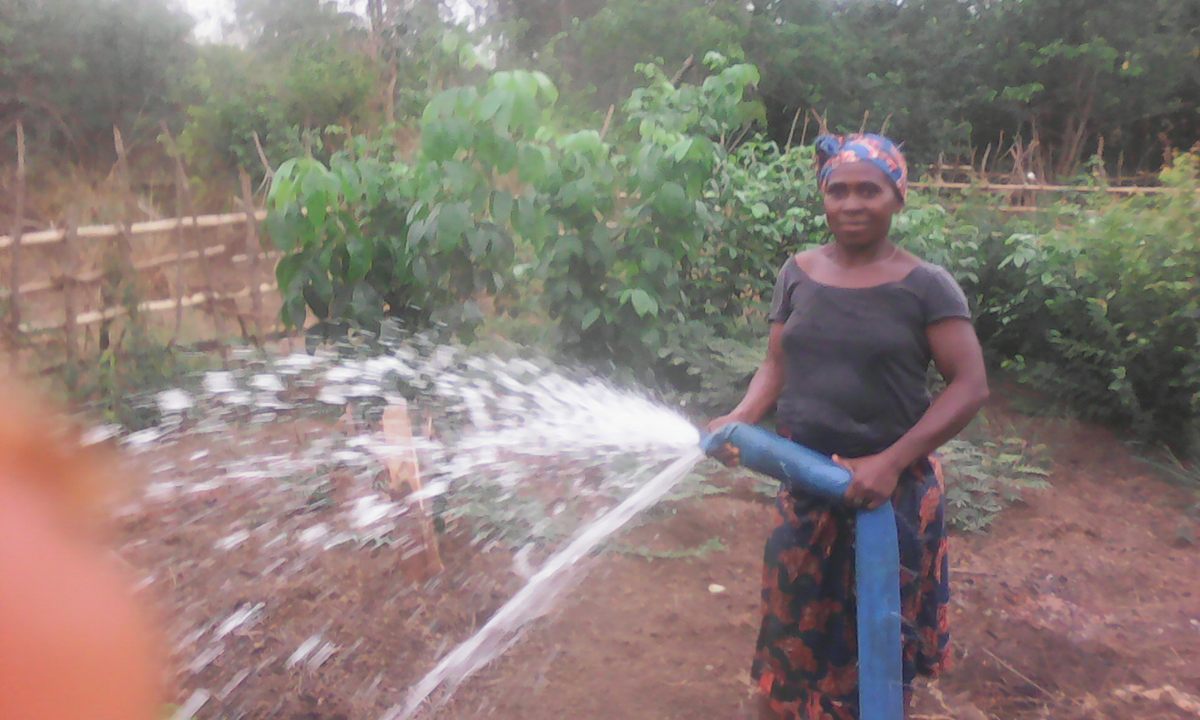 jardin fria village | Friaguinee